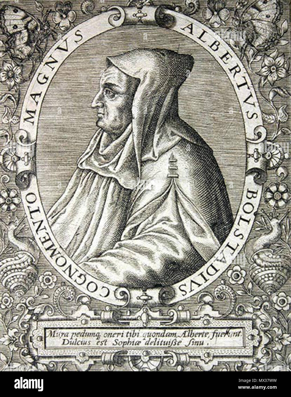 . English: Albertus Magnus Русский: Альберт Великий (Albertus Magnus ...