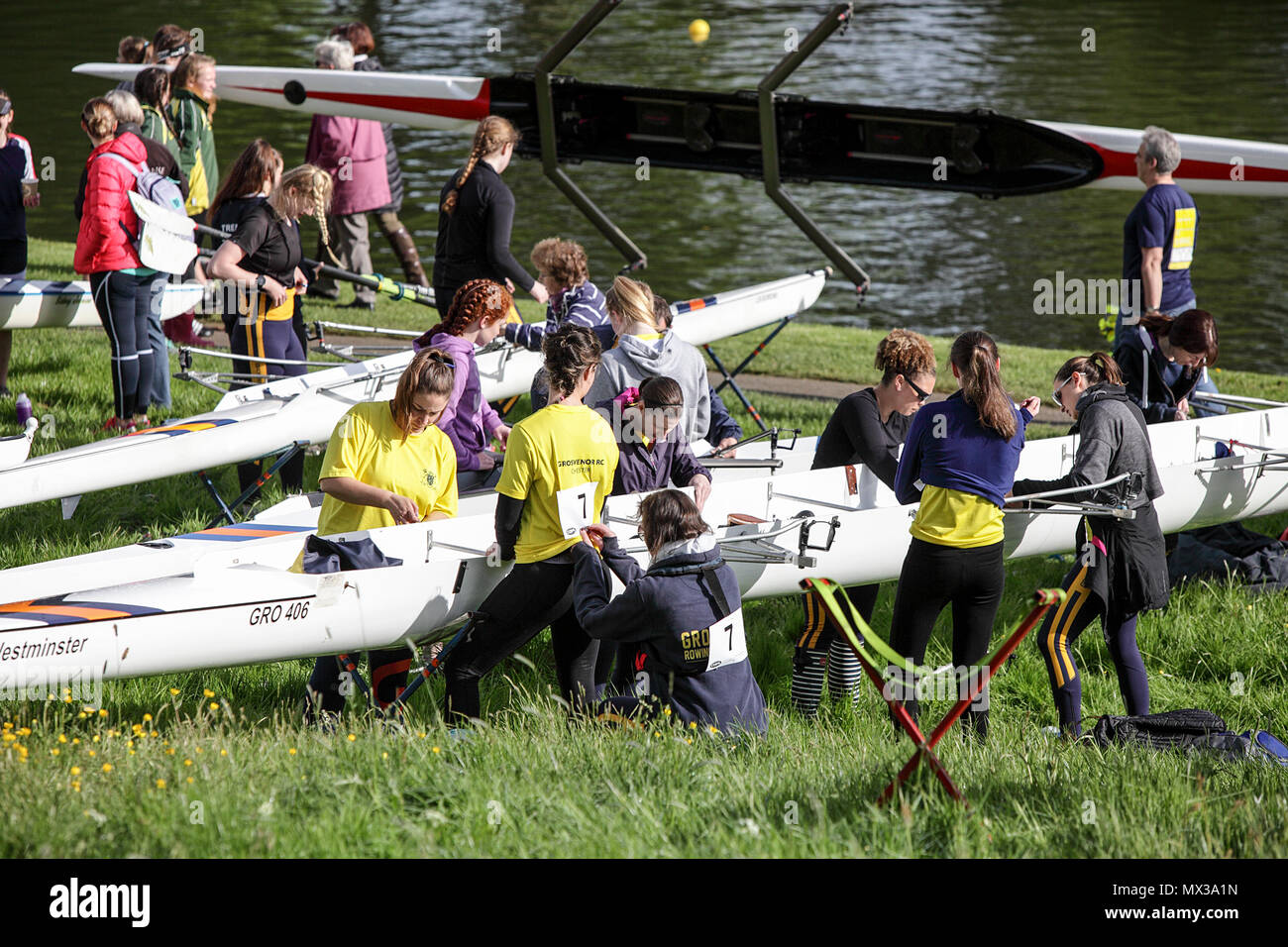 Skulls rowing crews preparation hi-res stock photography and images - Alamy