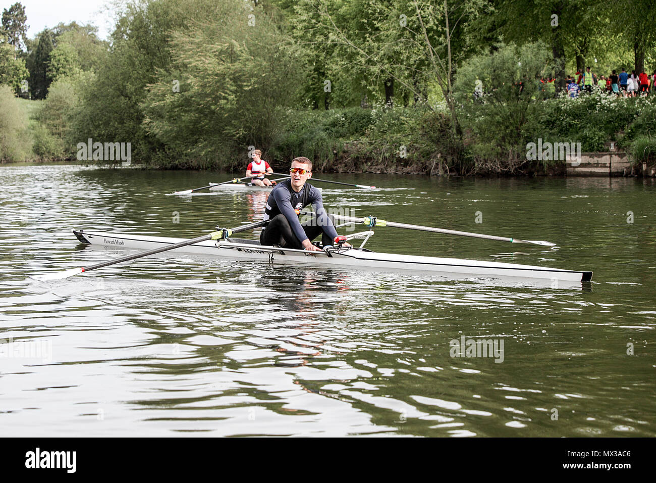 One man skulls rowing boats hi-res stock photography and images - Alamy