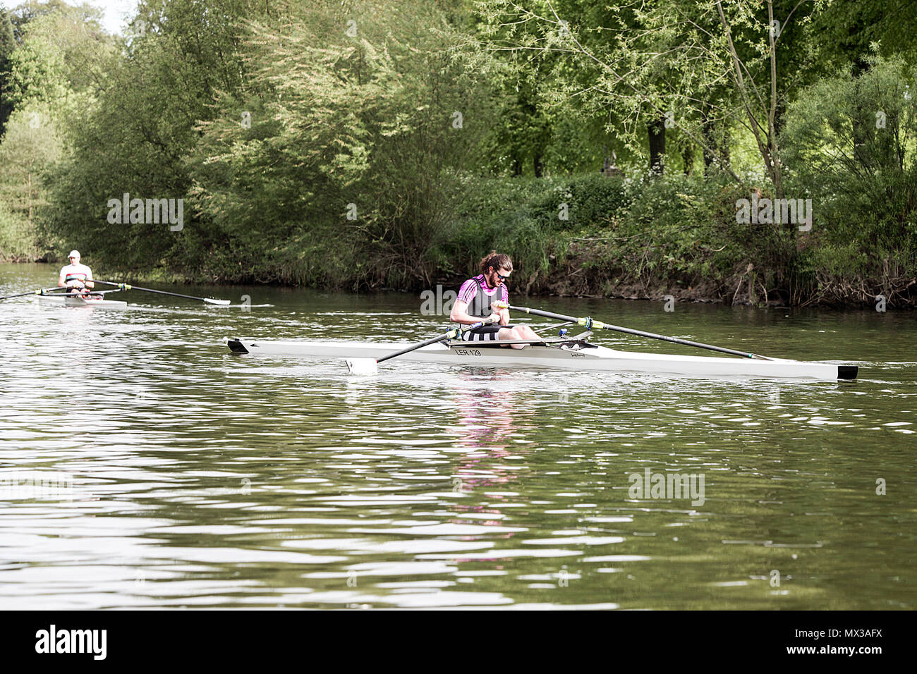 One man skulls rowing boat hi-res stock photography and images - Alamy