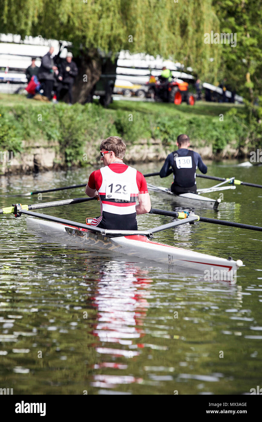 One man skulls rowing boat hi-res stock photography and images - Alamy