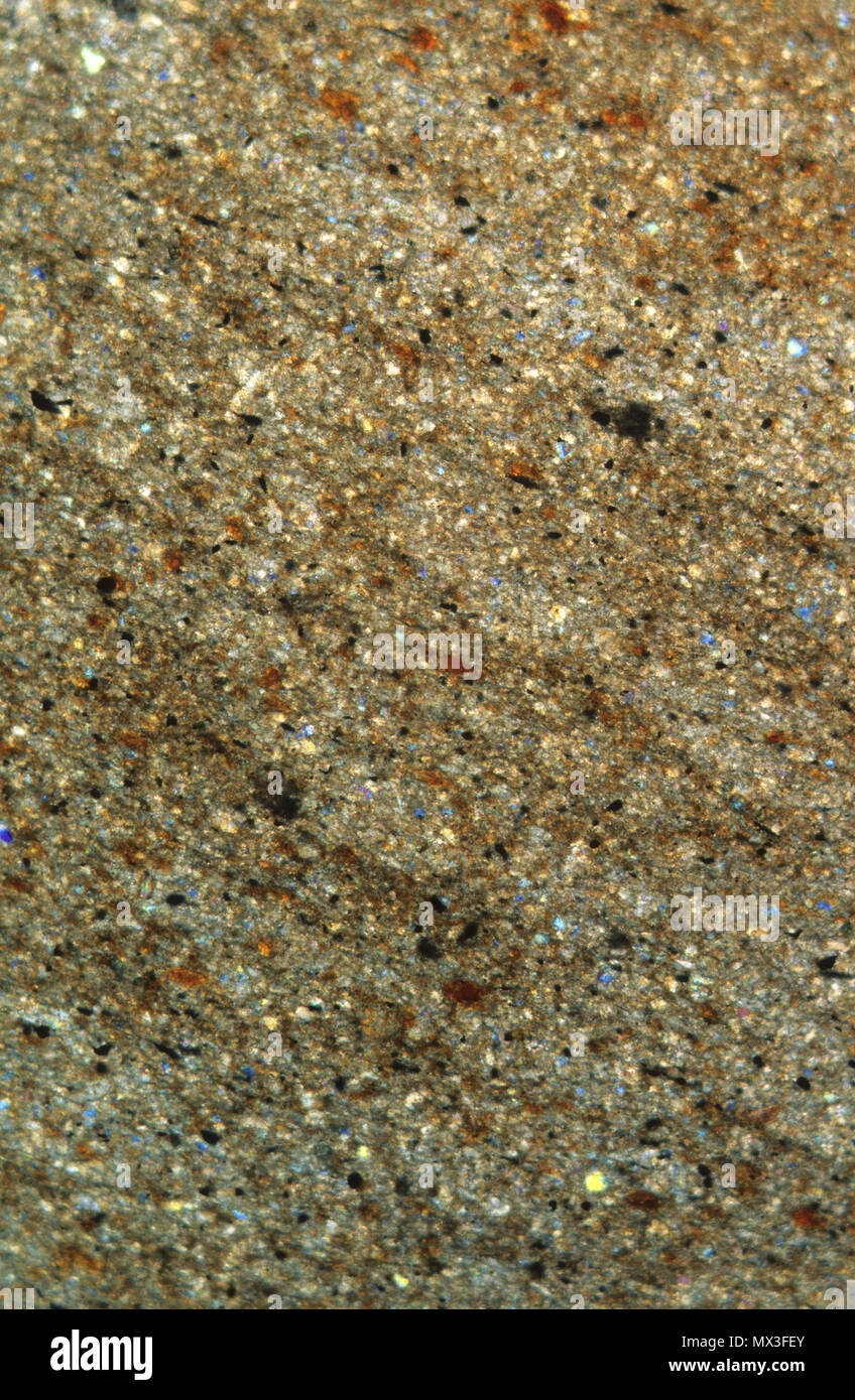 Slate.Metamorphic rock.Pyrenees.Andorra.Petrograhic microscope Stock ...