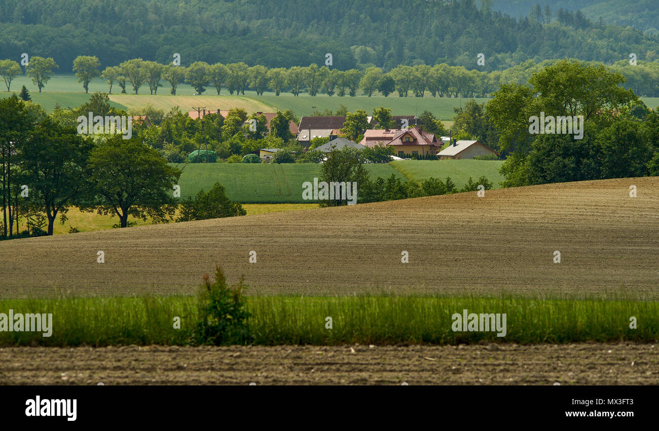 Silesia Landscape