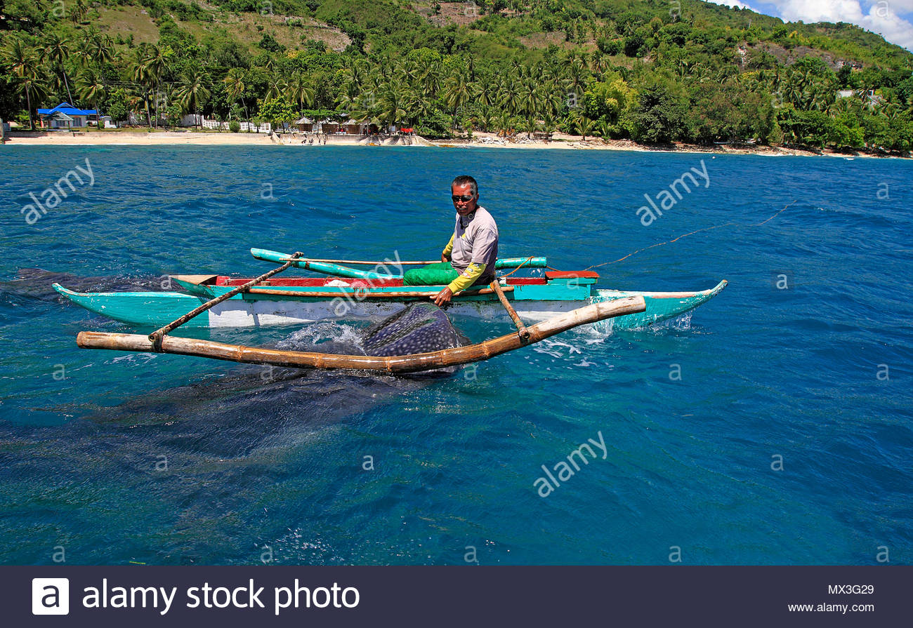 Shark Chum Stock Photos & Shark Chum Stock Images - Alamy