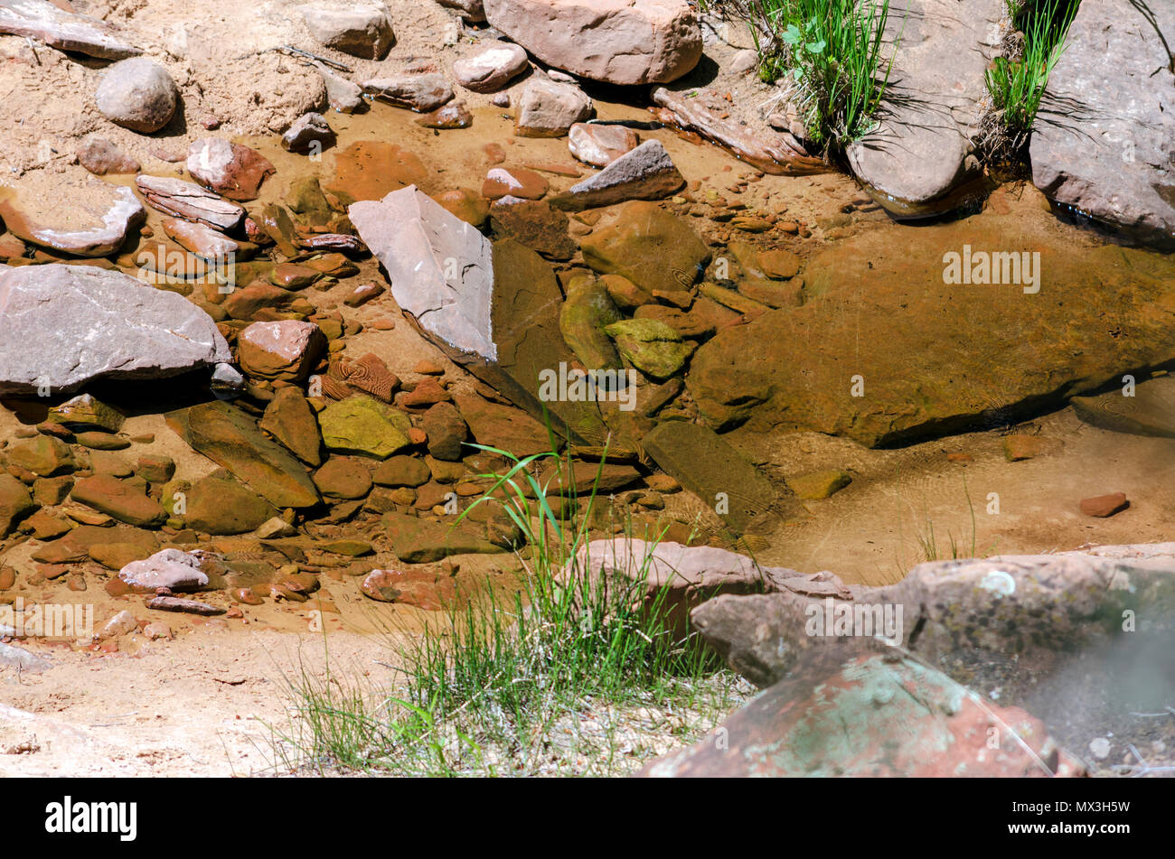 Stream with rocks hi-res stock photography and images - Alamy