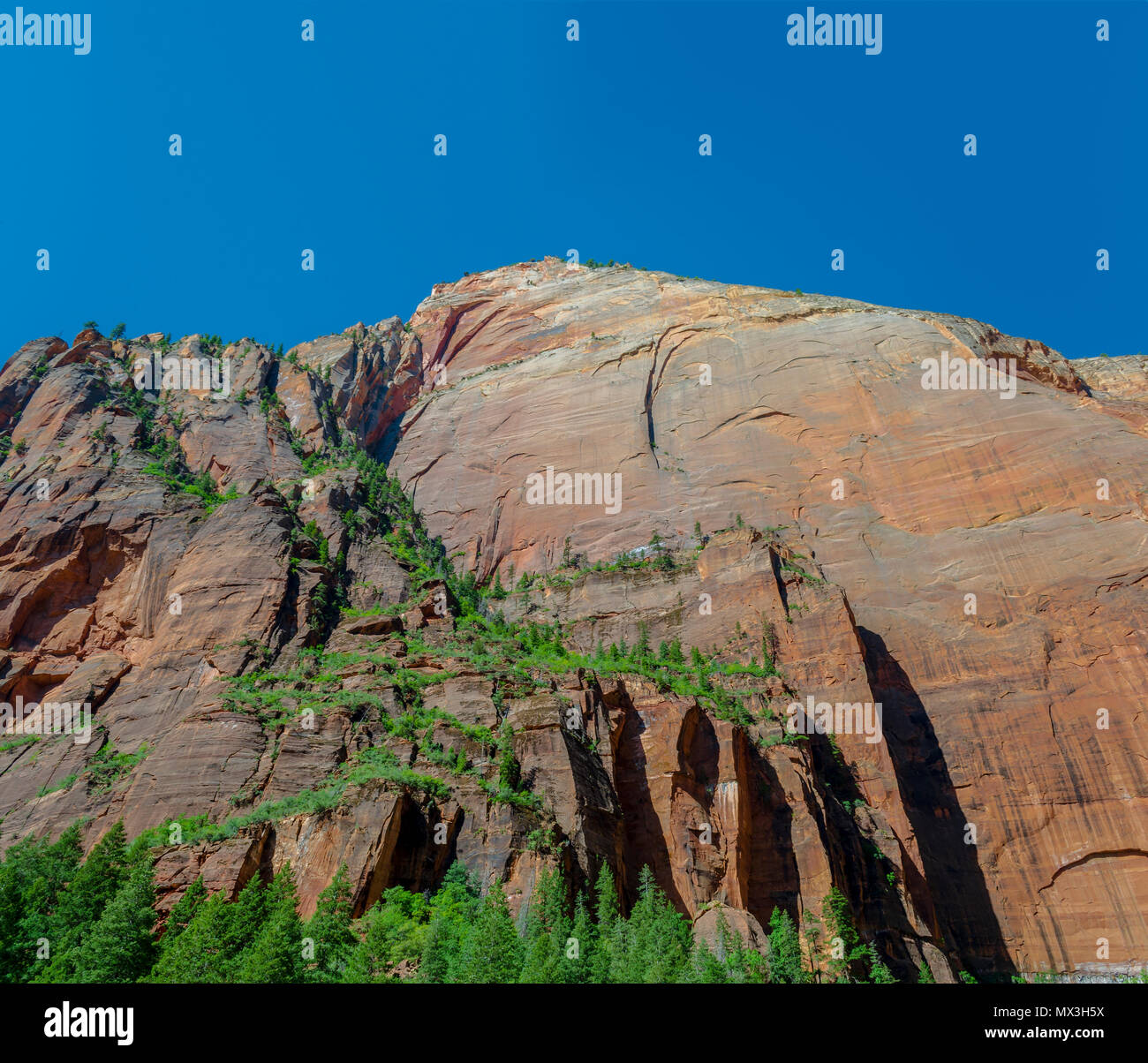 Rock crevices hi-res stock photography and images - Alamy