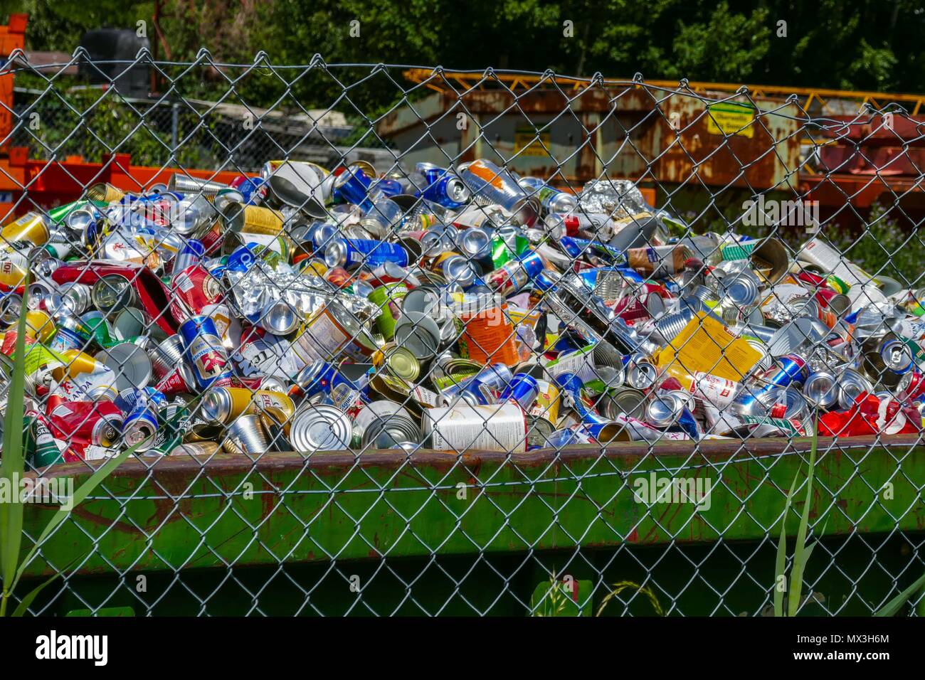 Aluminium and steel cans in a skip ready for recycling, Brig ...
