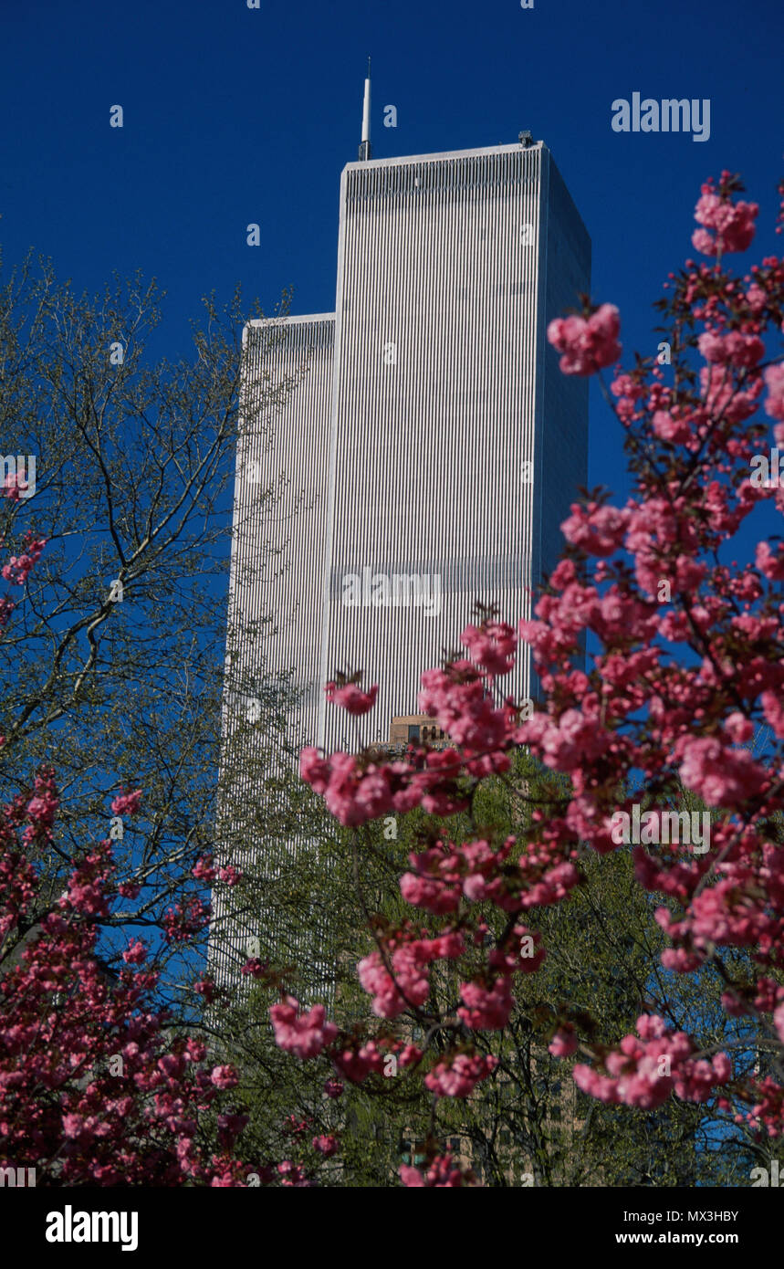 Historical Images of The World Trade Center Towers in 1999, NYC, USA ...