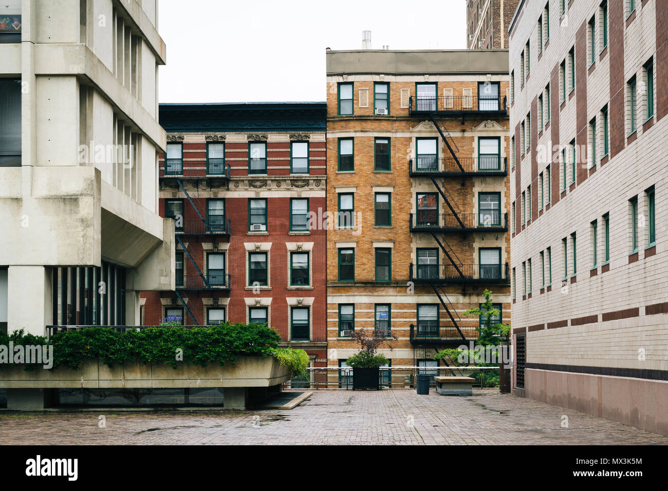City college of new york harlem hi-res stock photography and images - Alamy