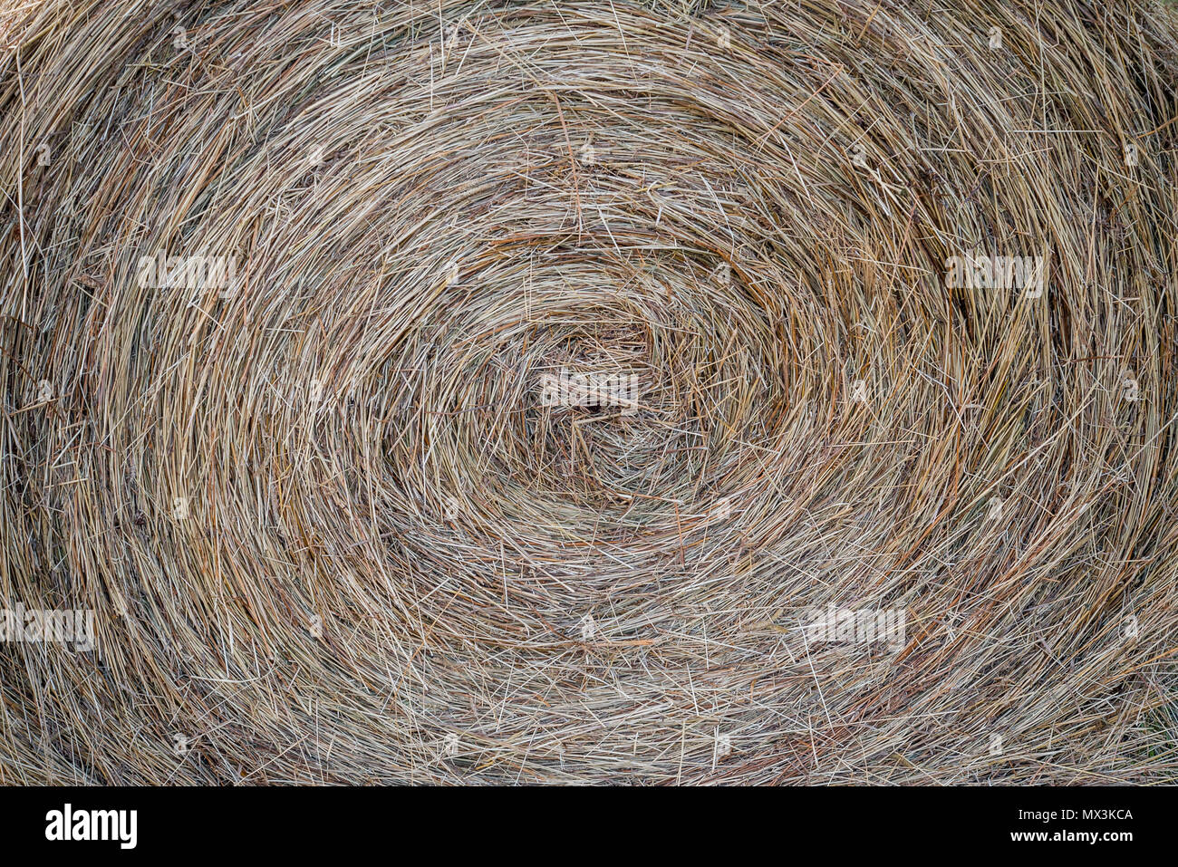 Haybale close hi-res stock photography and images - Alamy