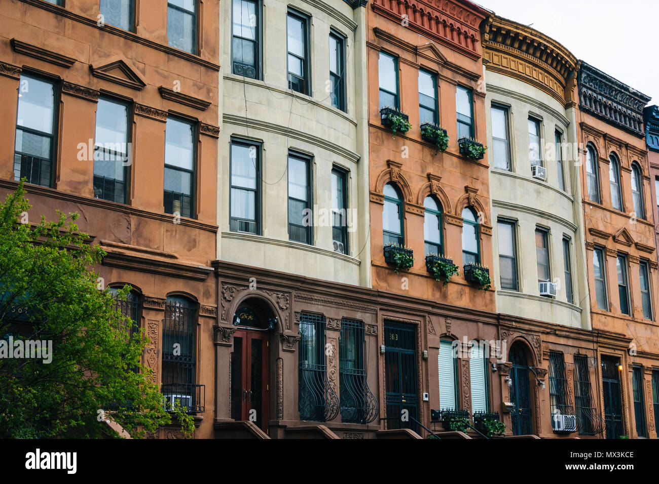 Colorful row houses in Harlem, Manhattan, New York City Stock Photo - Alamy