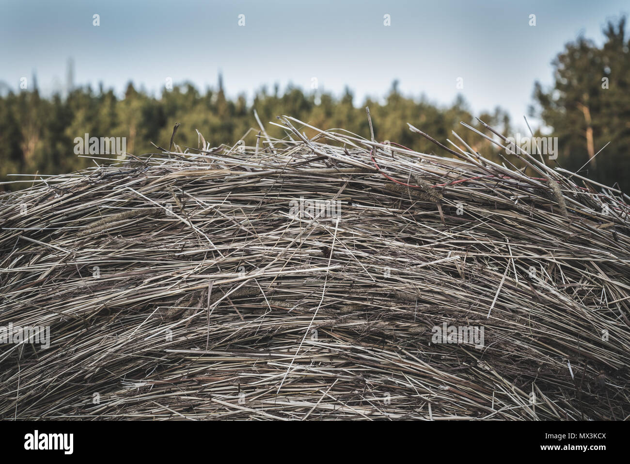 Round bale detail hi-res stock photography and images - Alamy