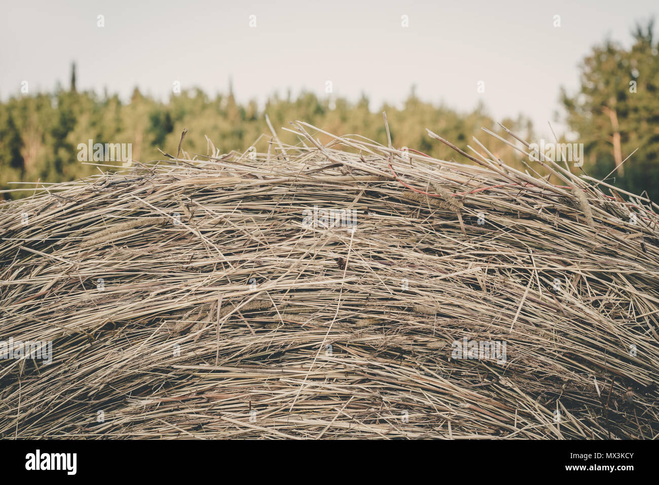 Haybale close hi-res stock photography and images - Alamy