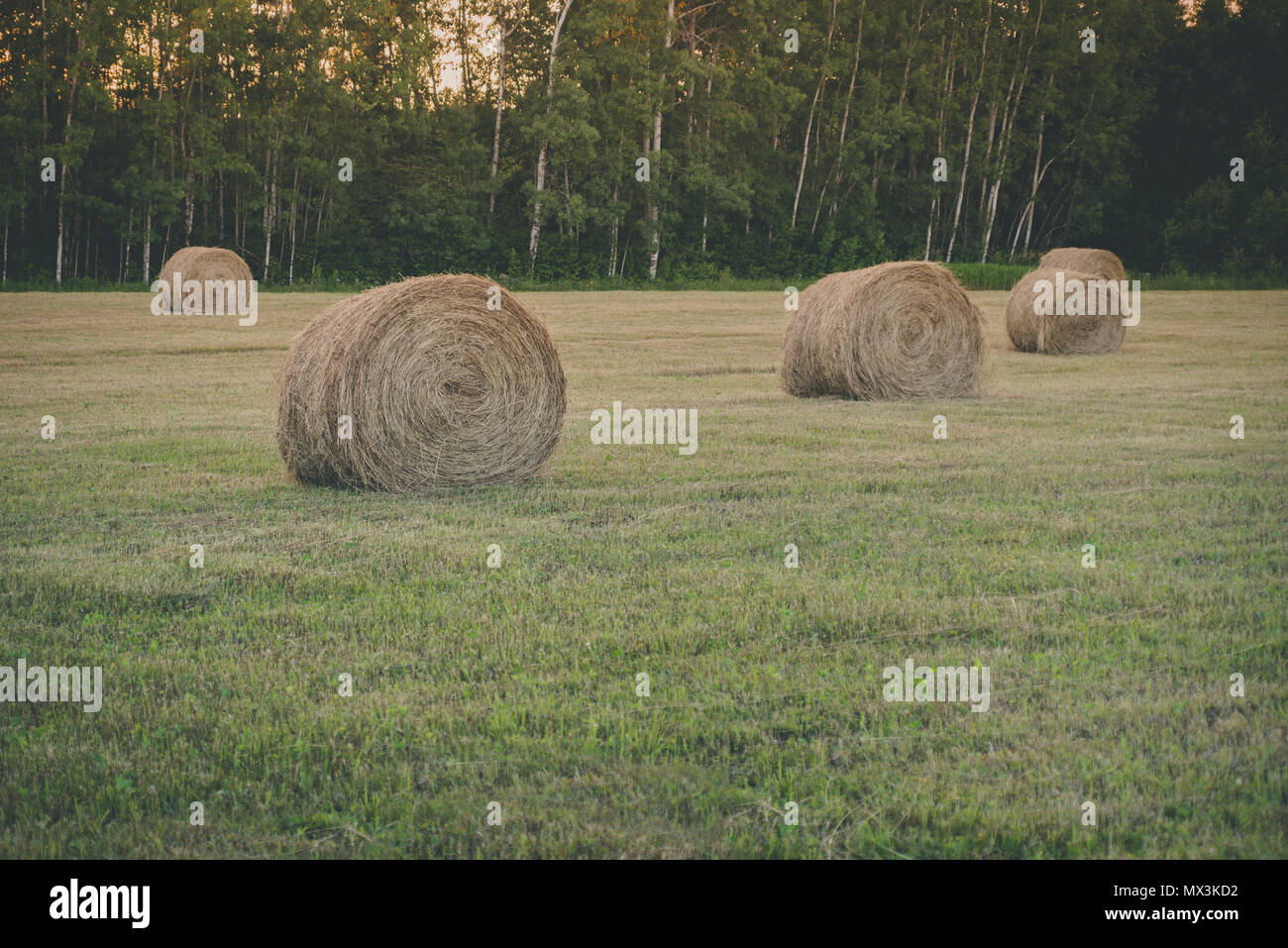Round haybales hi-res stock photography and images - Alamy