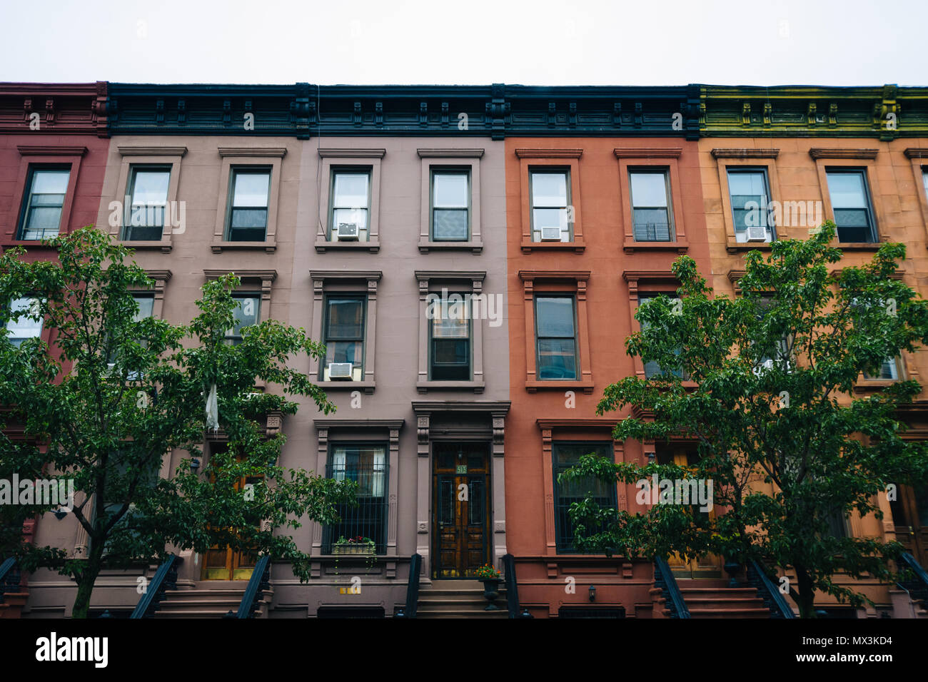 Colorful row houses in Harlem, Manhattan, New York City Stock Photo - Alamy