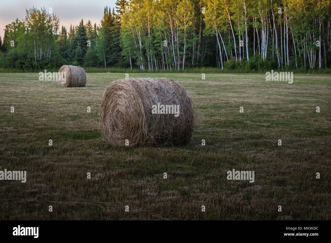 Bailed Hay High Resolution Stock Photography and Images - Alamy