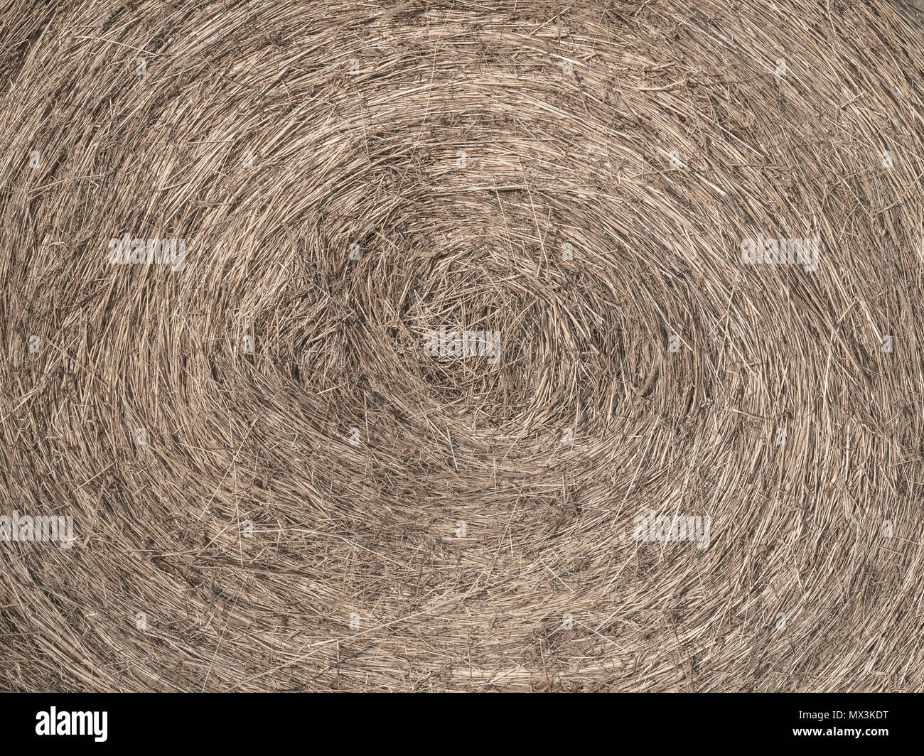 Haybale close hi-res stock photography and images - Alamy