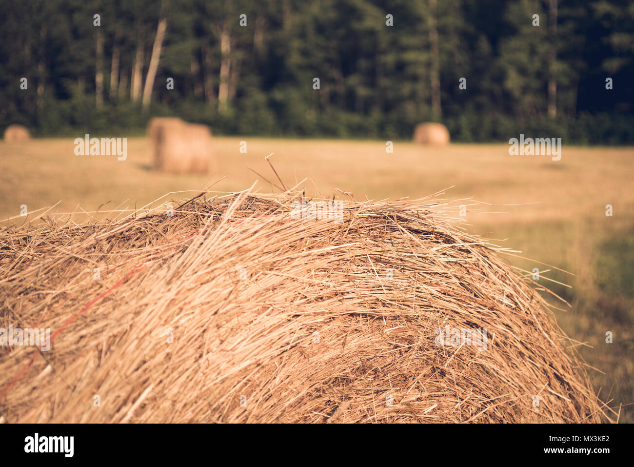 Haybale close hi-res stock photography and images - Alamy