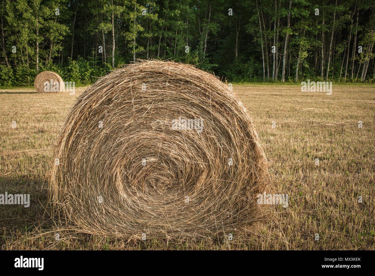Round Hay Bale Stock Photo - Alamy