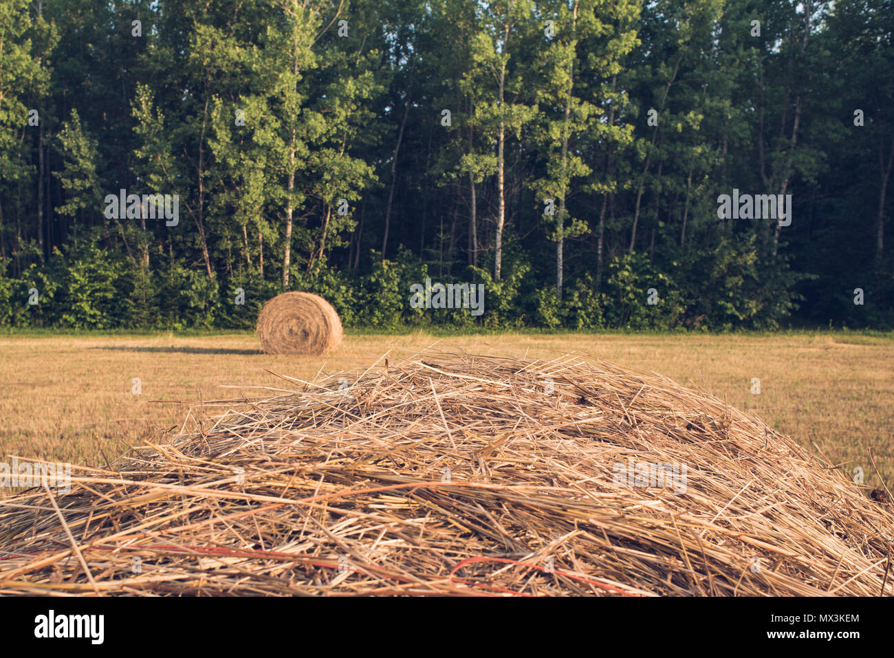 Haybale close hi-res stock photography and images - Alamy