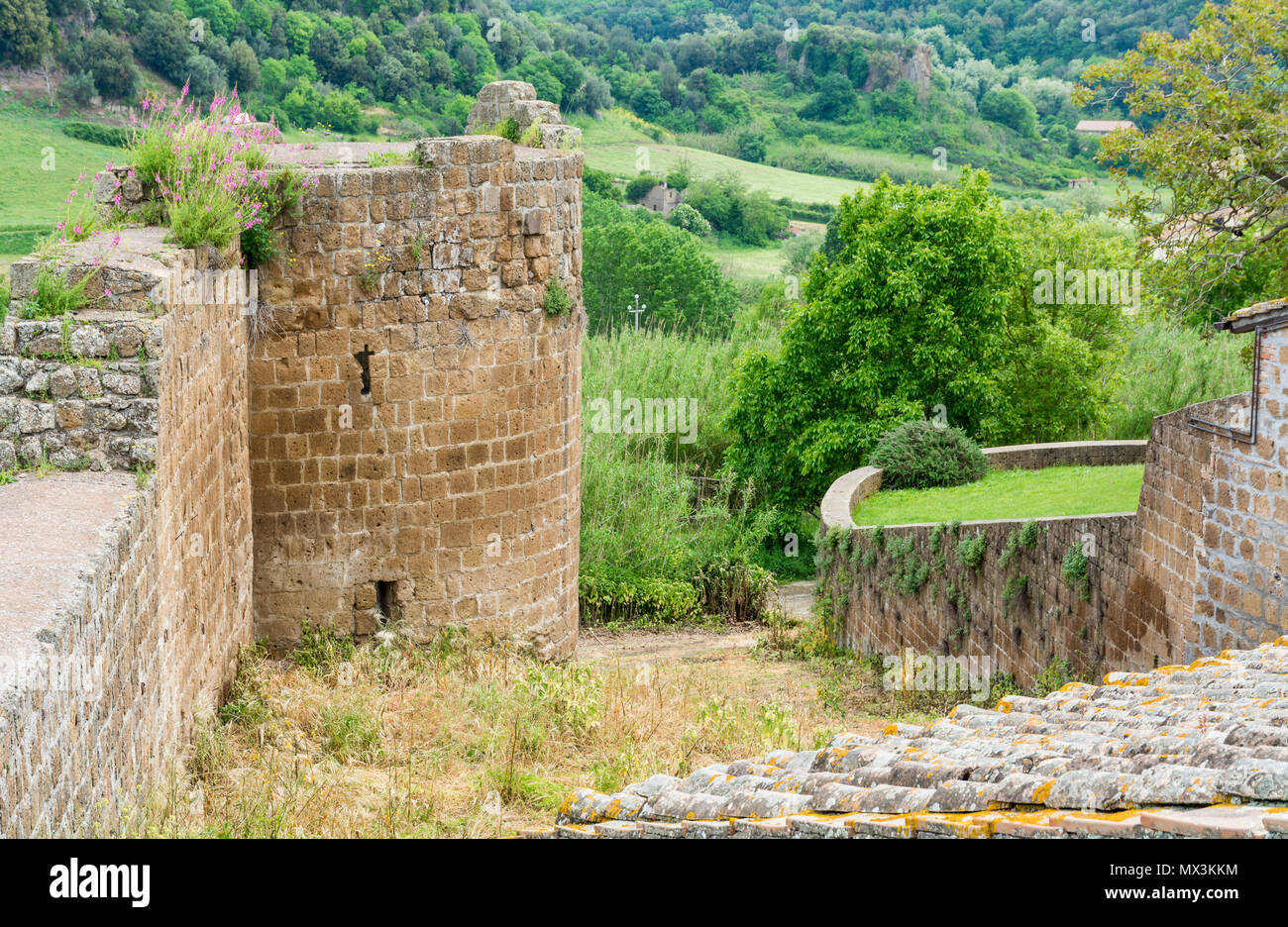 Tuscania (Italy) - A gorgeous etruscan and medieval town in province of ...