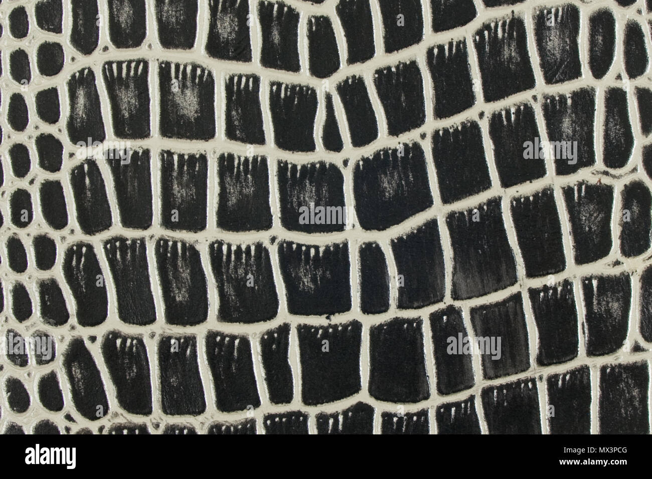 Texture background black and white snake leather Stock Photo - Alamy