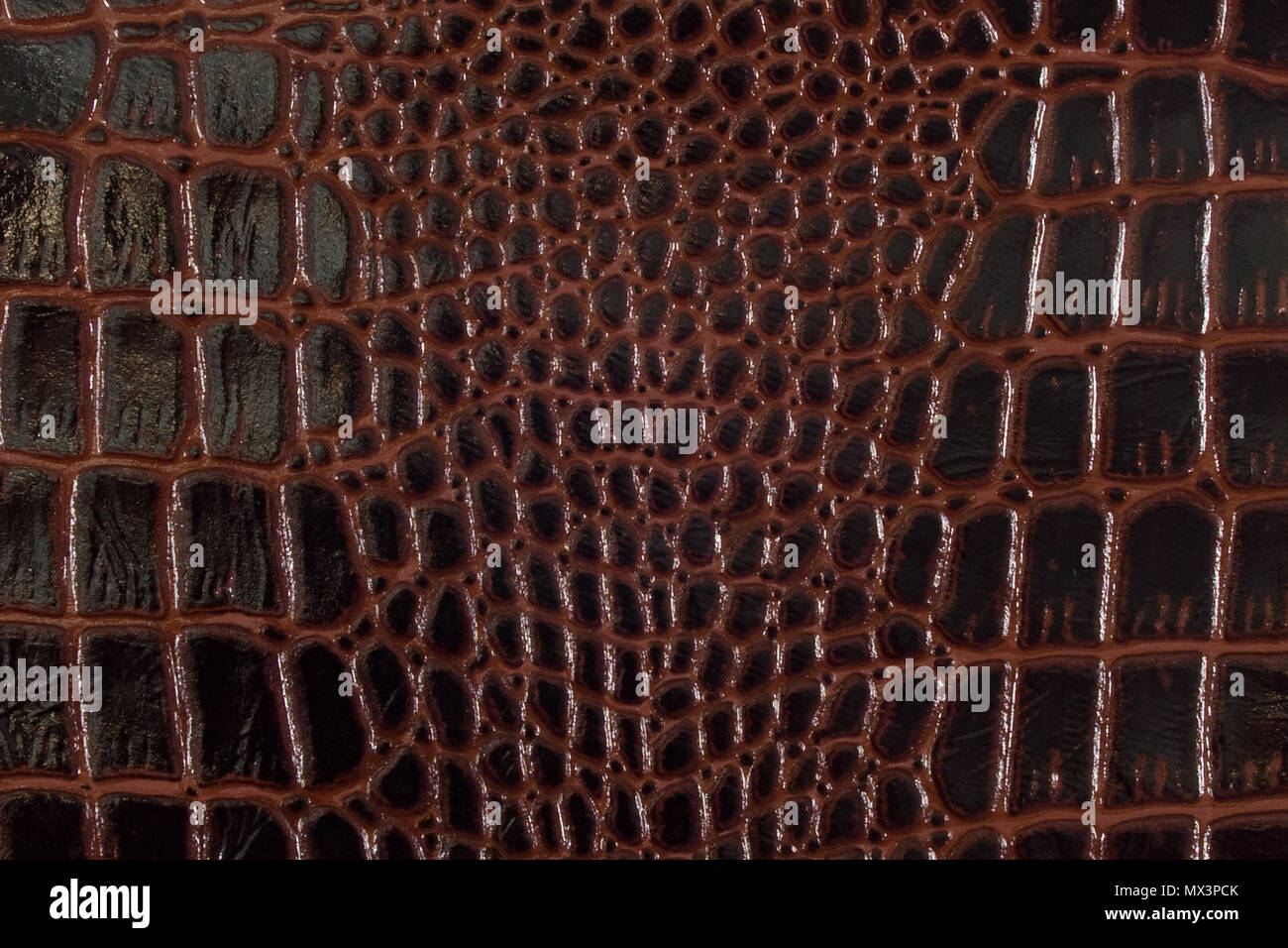 Texture background black and red snake leather Stock Photo - Alamy