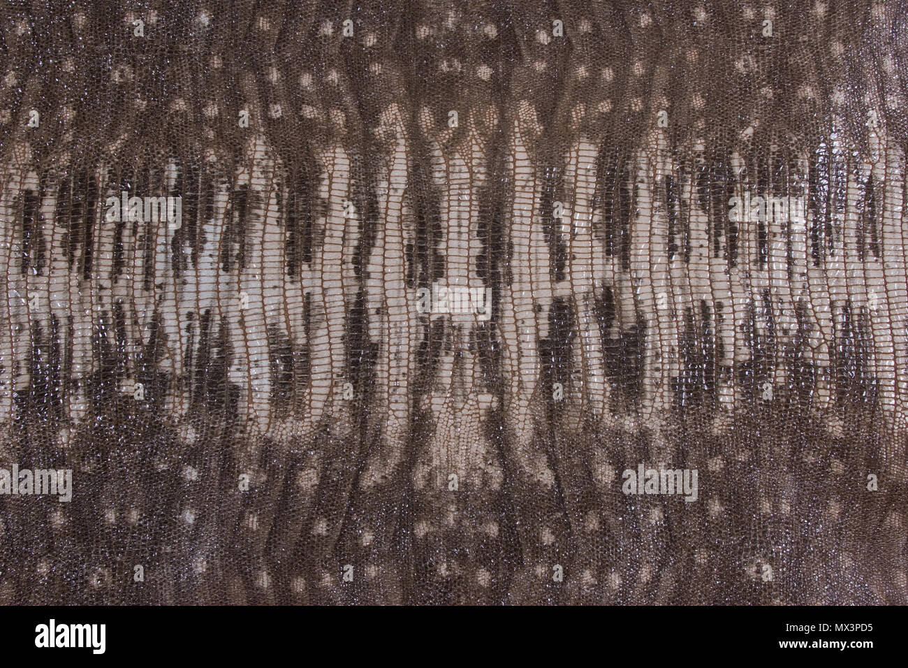 Snakeskin effect hi-res stock photography and images - Alamy