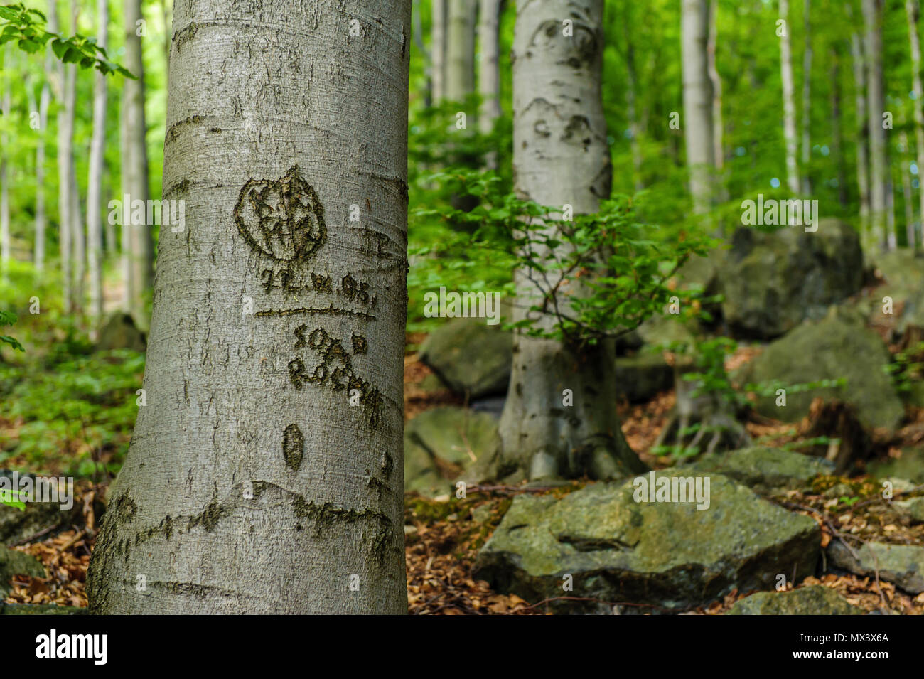 Maimed symbol hi-res stock photography and images - Alamy