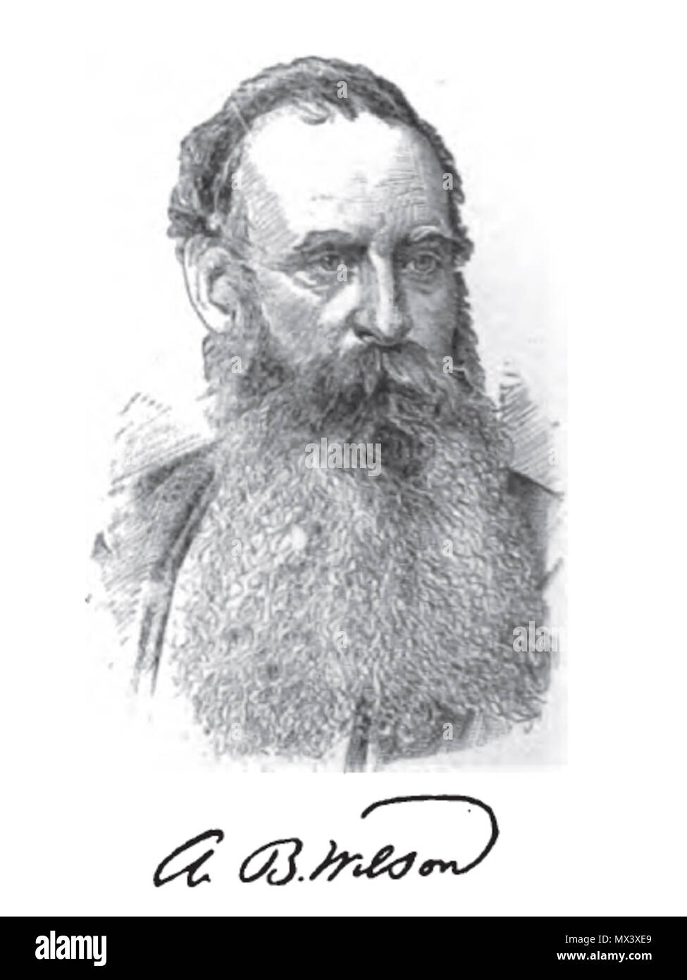 . Allen Benjamin Wilson . 1899. Unknown 39 Allen Benjamin Wilson Stock ...