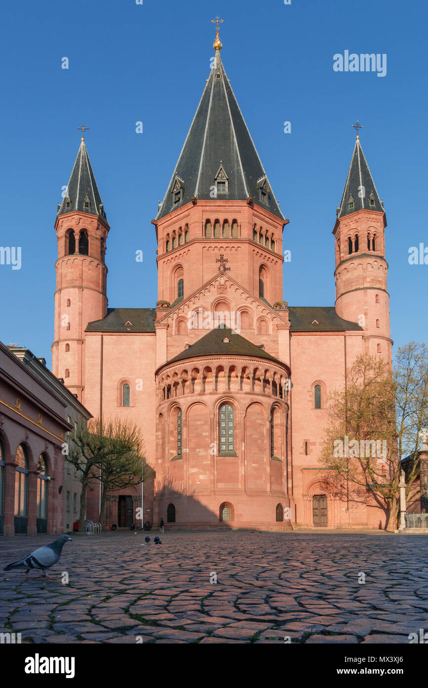 Historic Mainz Cathedral after sunrise in front of a blue sky Stock ...