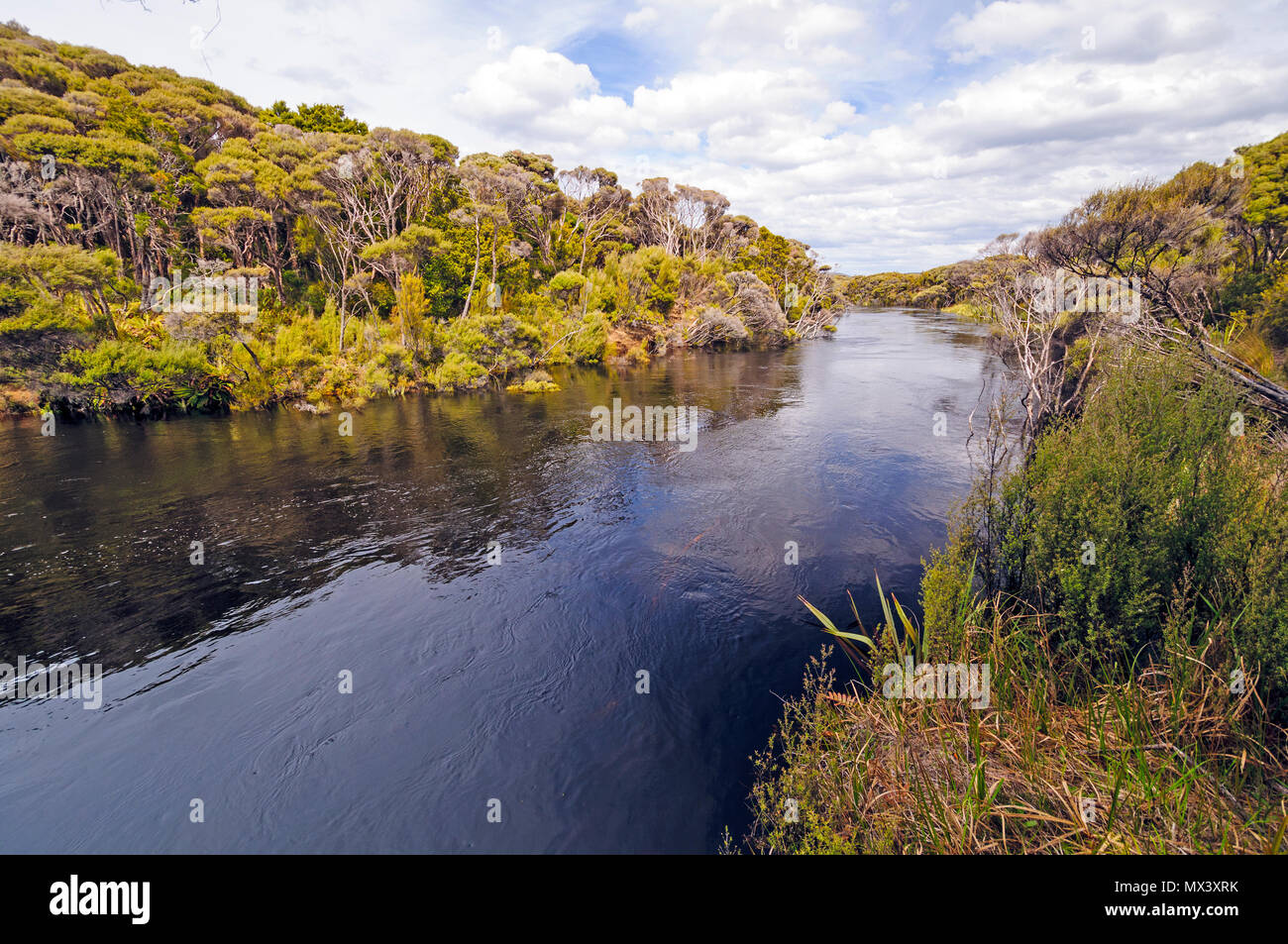 The Freshwater River on Stewart Island in New Zealand Stock Photo - Alamy