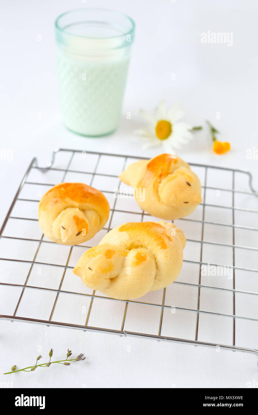 Funny bird shaped bread rolls Stock Photo - Alamy