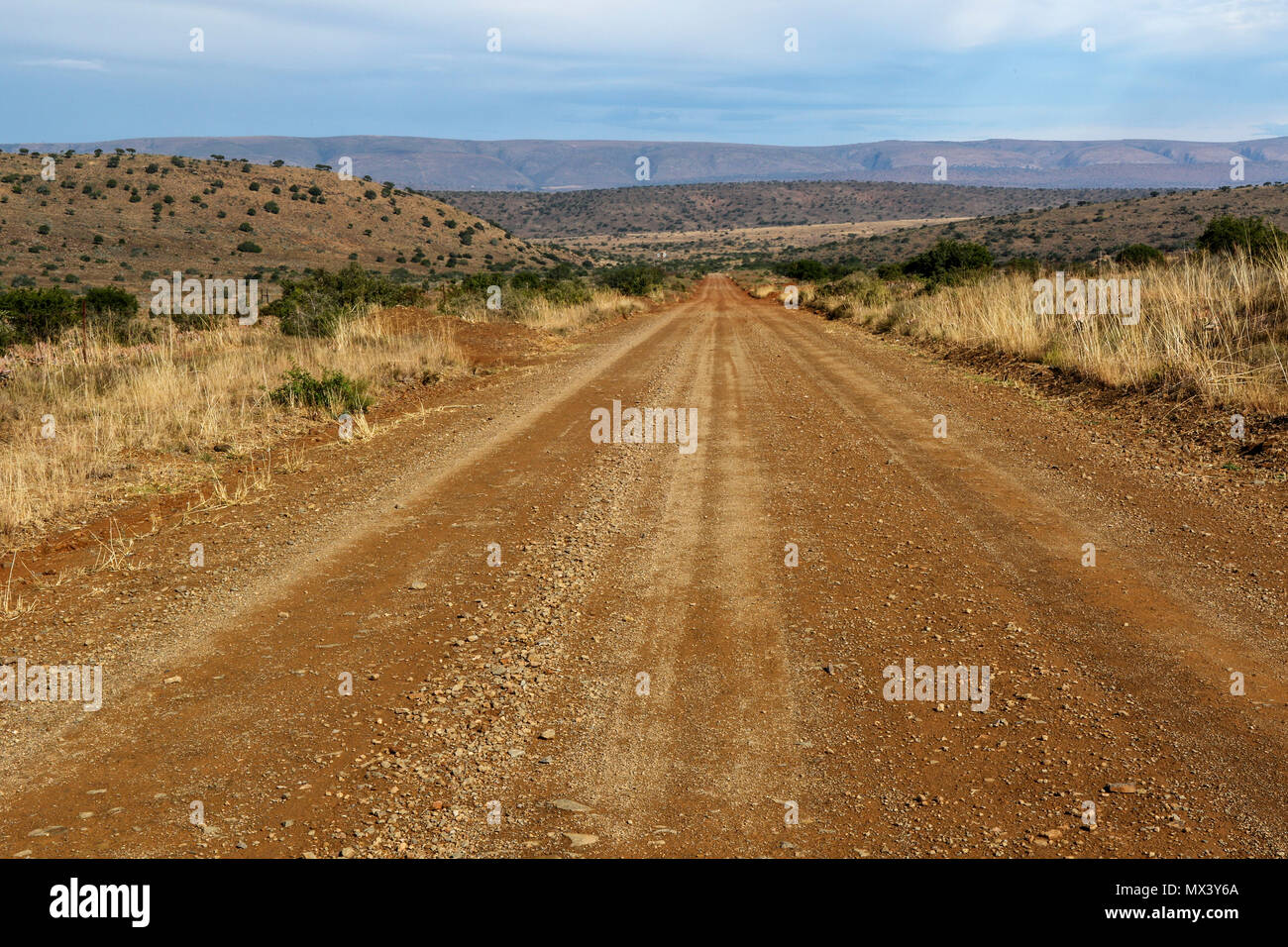 Red unpaved dirt road landscape in the Addo Elephant National Park ...