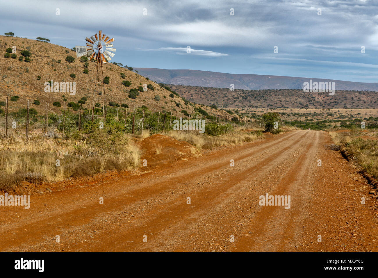 Red unpaved dirt road landscape in the Addo Elephant National Park ...