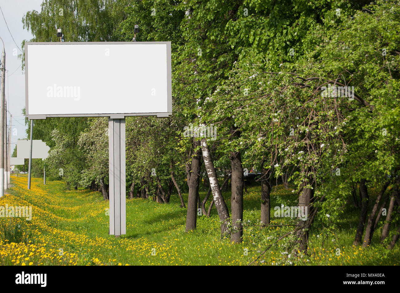 A billboard without inscriptions, empty. On the roadside Stock Photo ...