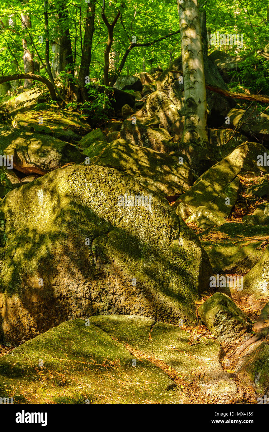 Daylight trees and rocks hi-res stock photography and images - Alamy