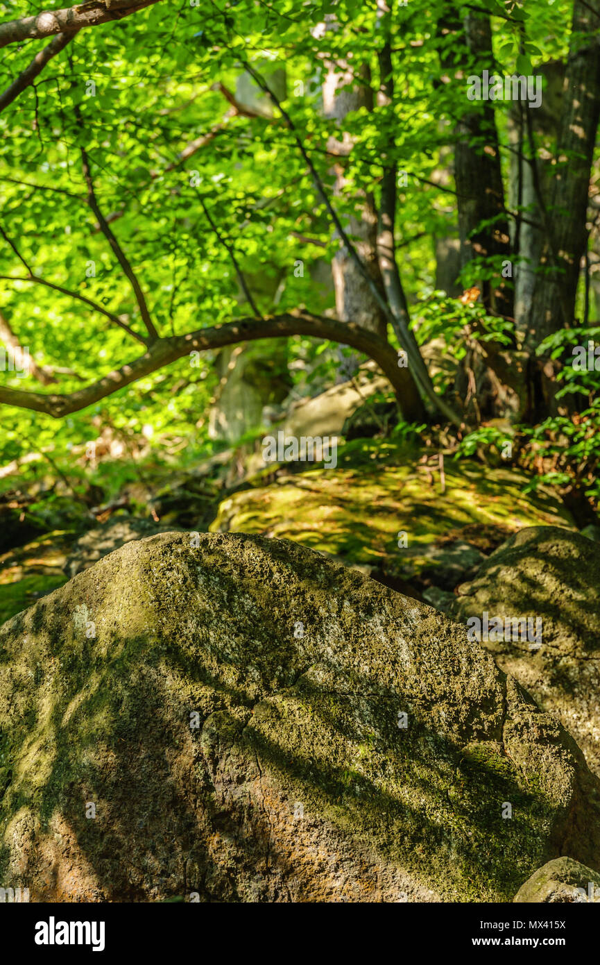 Daylight daylight scenery and scenic scenery hi-res stock photography ...