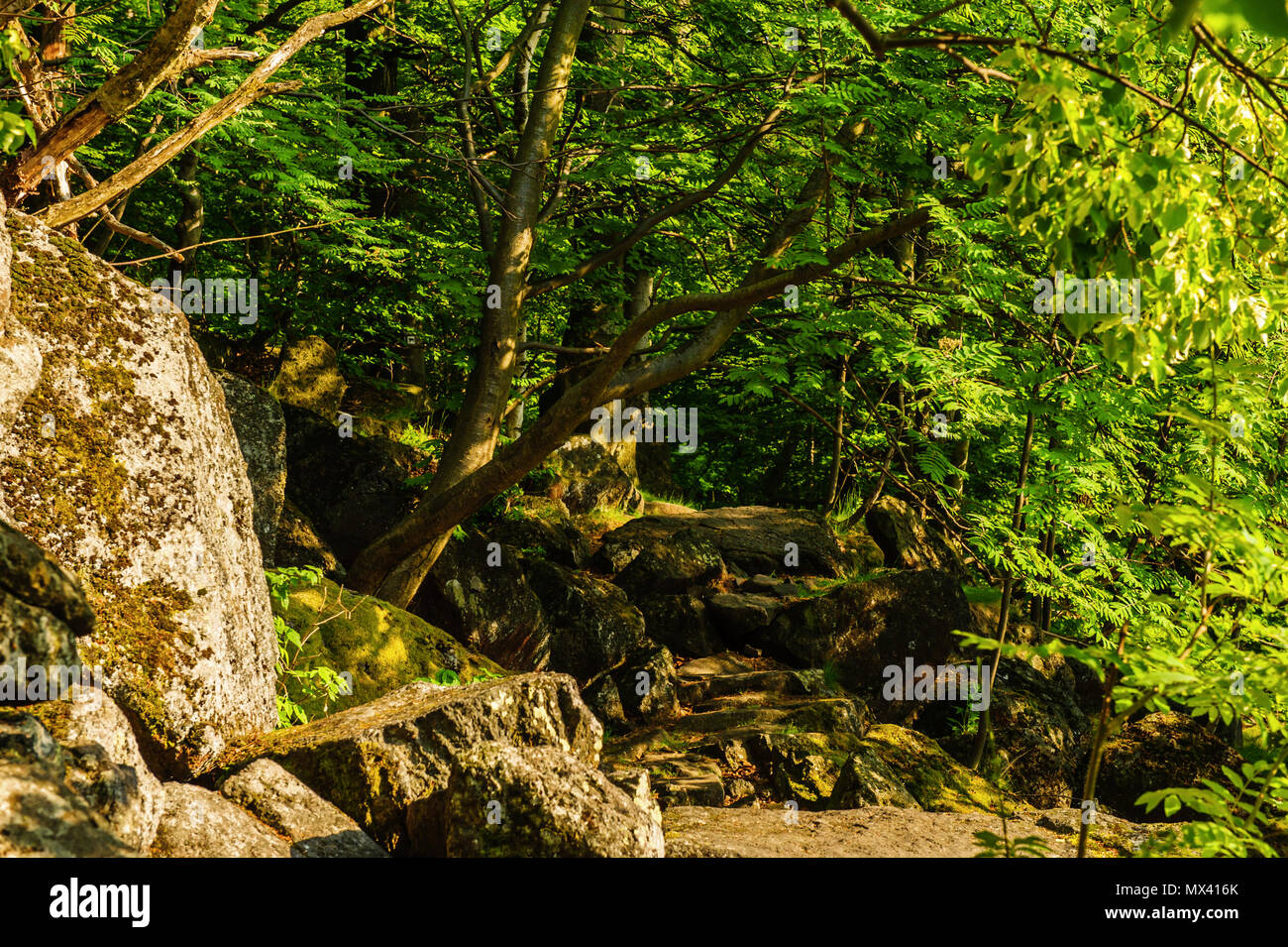 Narrow trail between rocks hi-res stock photography and images - Alamy