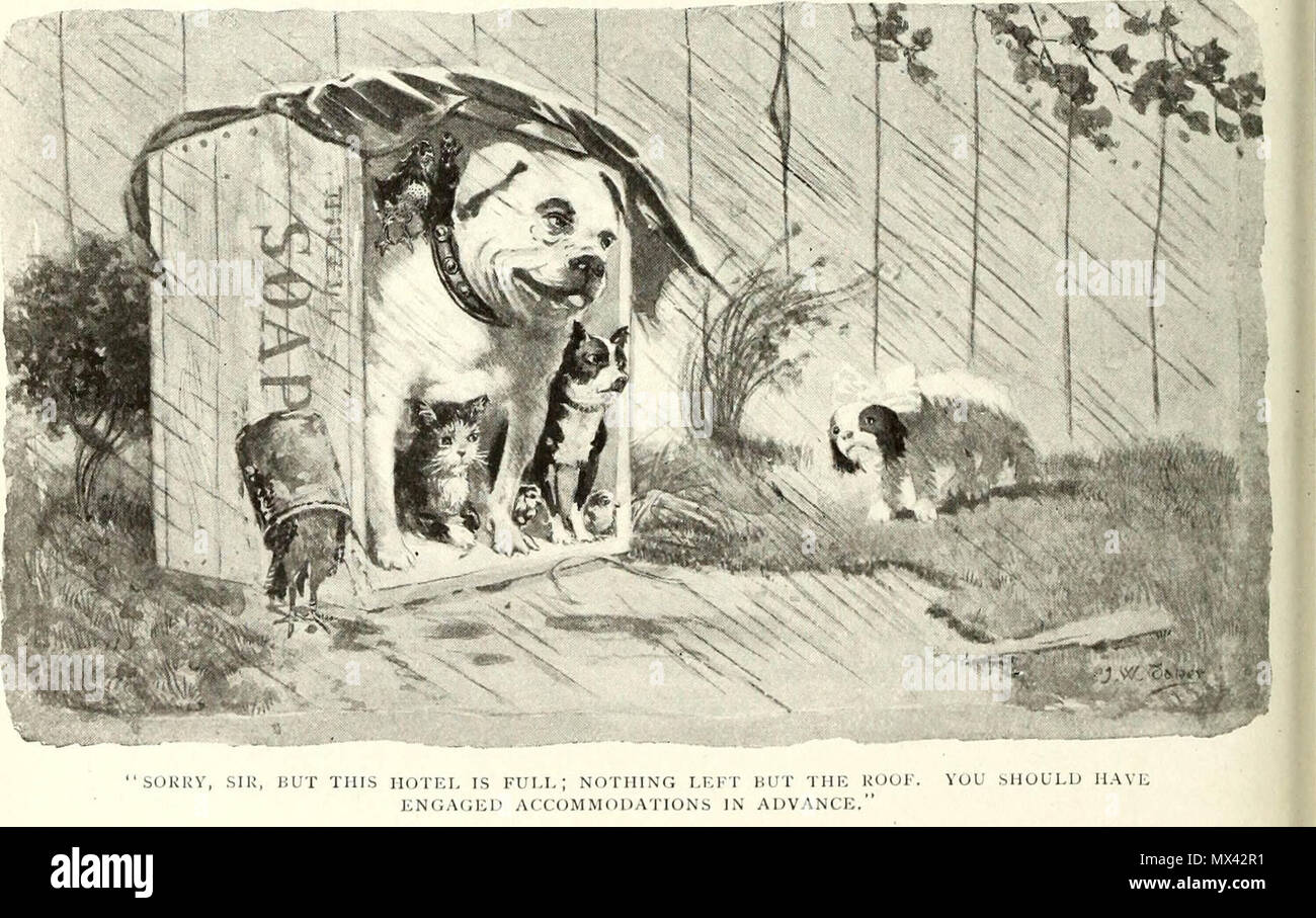 "St. Nicholas [serial]" (1873 Stock Photo - Alamy