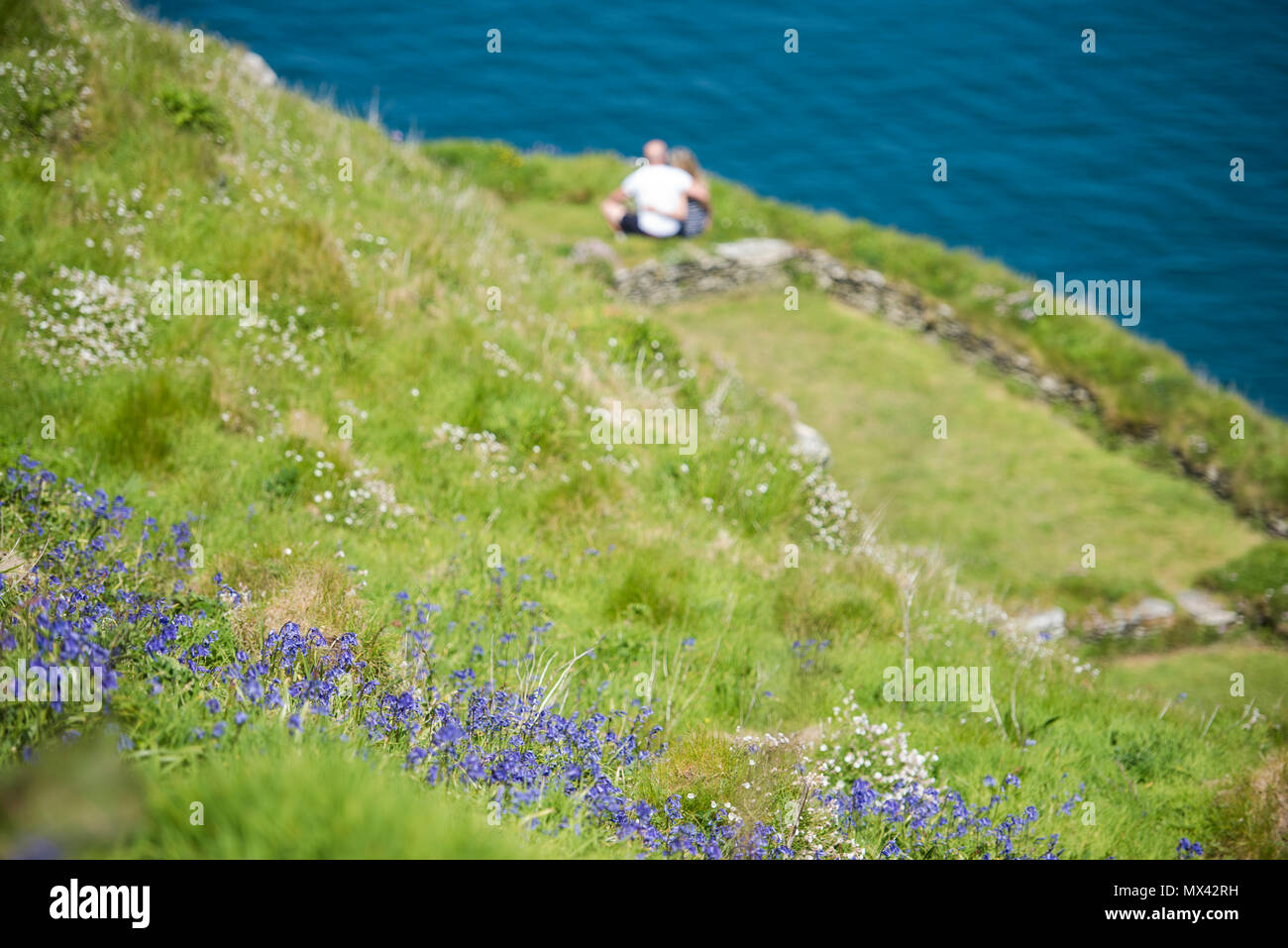 The geography of Tintagel, Cornwall UK Stock Photo - Alamy
