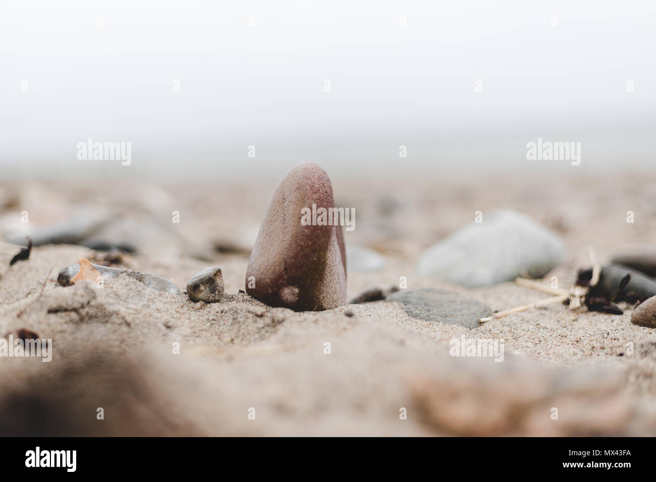 Pebbles lying on the sea coast, Europe, Denmark Stock Photo - Alamy