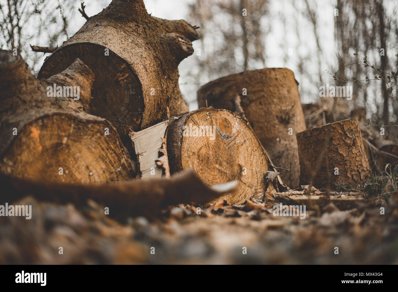 Work pieces hi-res stock photography and images - Alamy