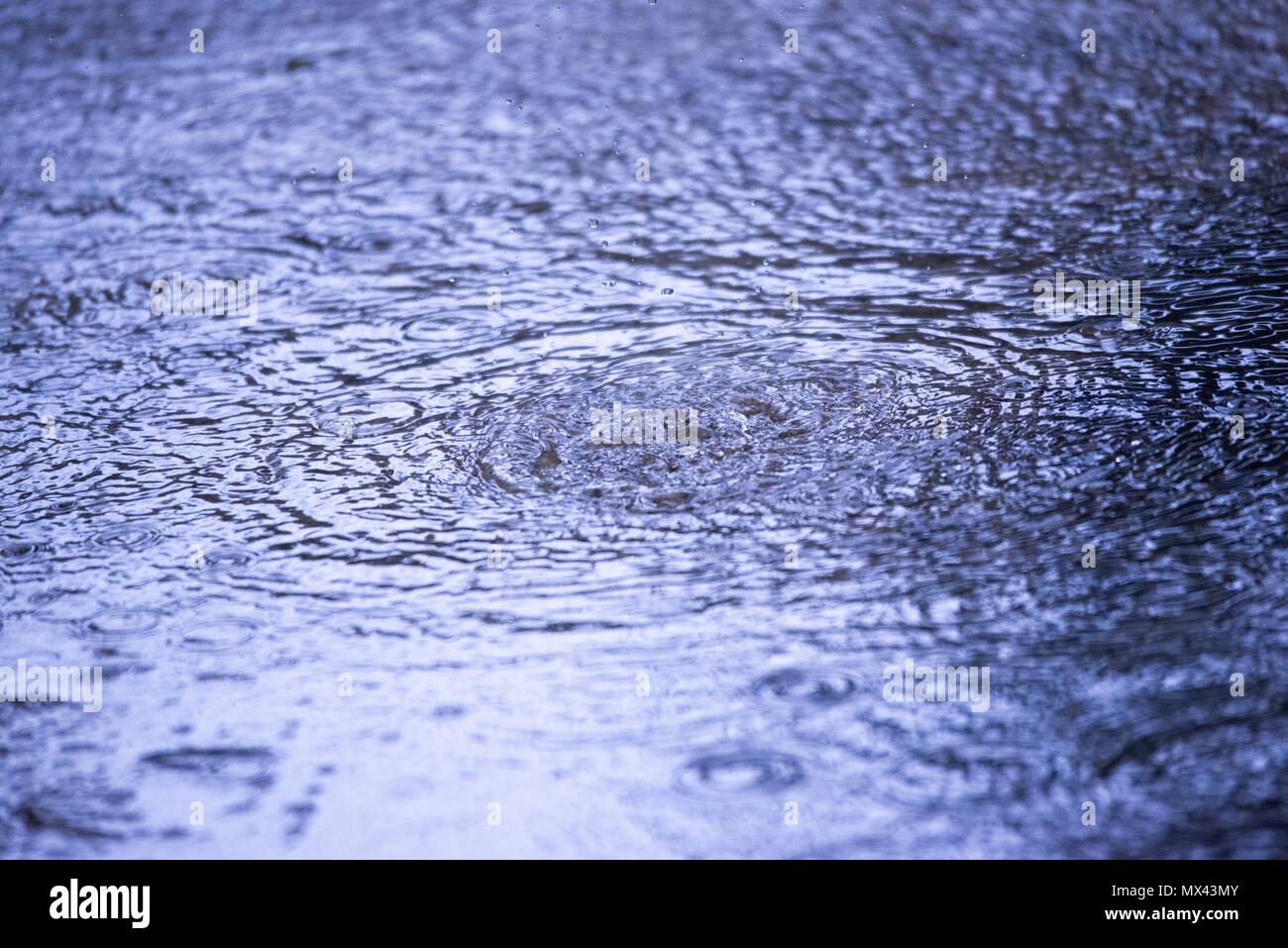 summer raindrops and ripples, image of a Stock Photo - Alamy