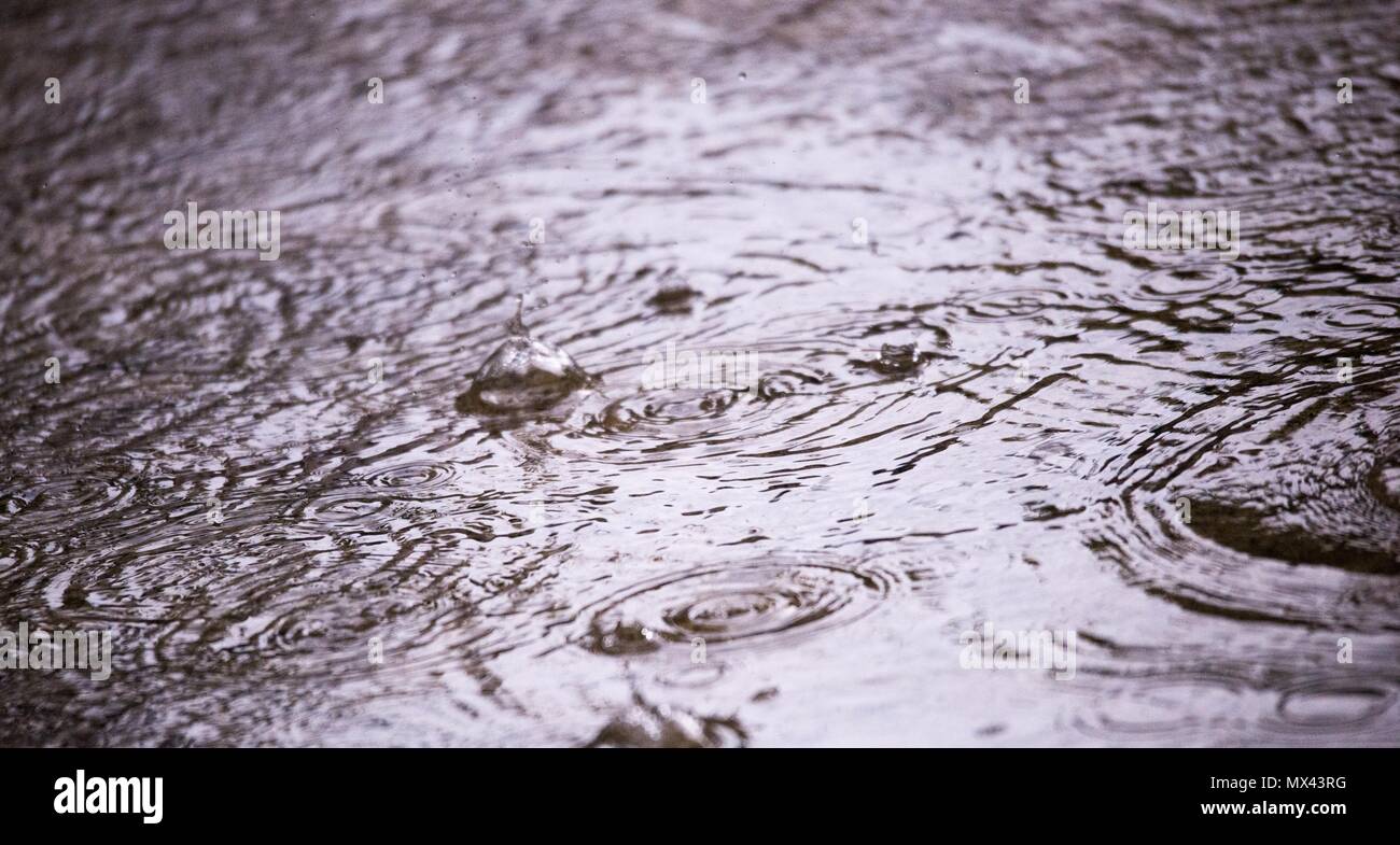 summer raindrops and ripples, image of a Stock Photo - Alamy