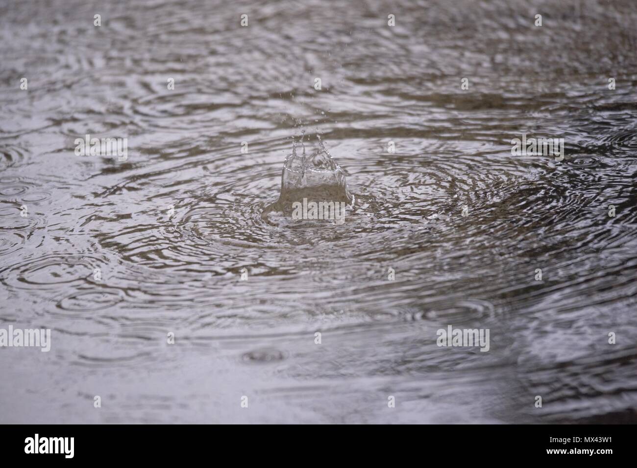 summer raindrops and ripples, image of a Stock Photo - Alamy