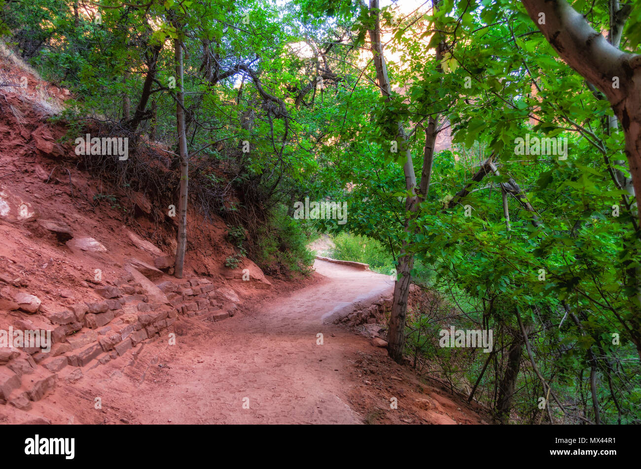 Hiking trail with hillside and trees Stock Photo - Alamy
