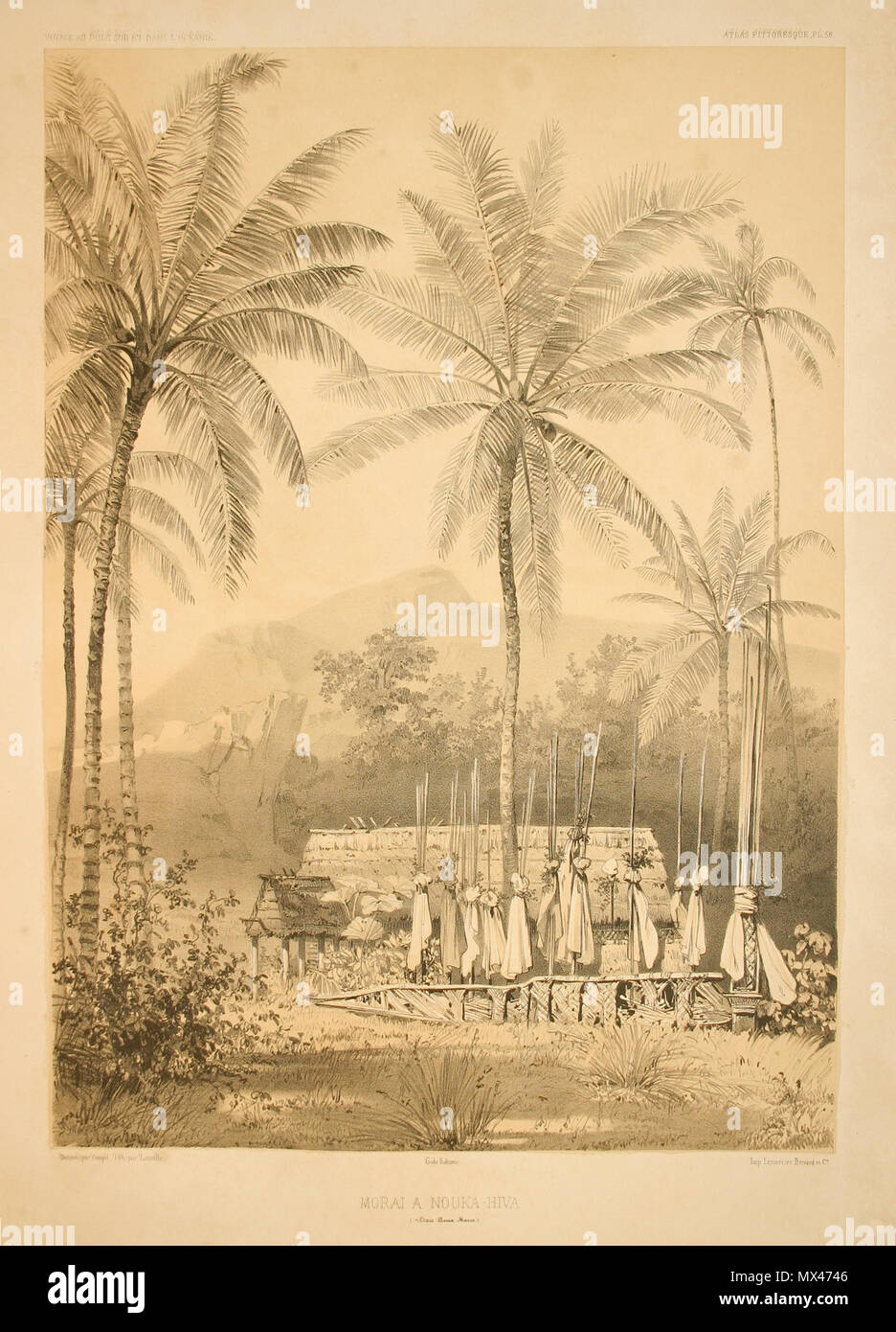 Nouka hi-res stock photography and images - Alamy