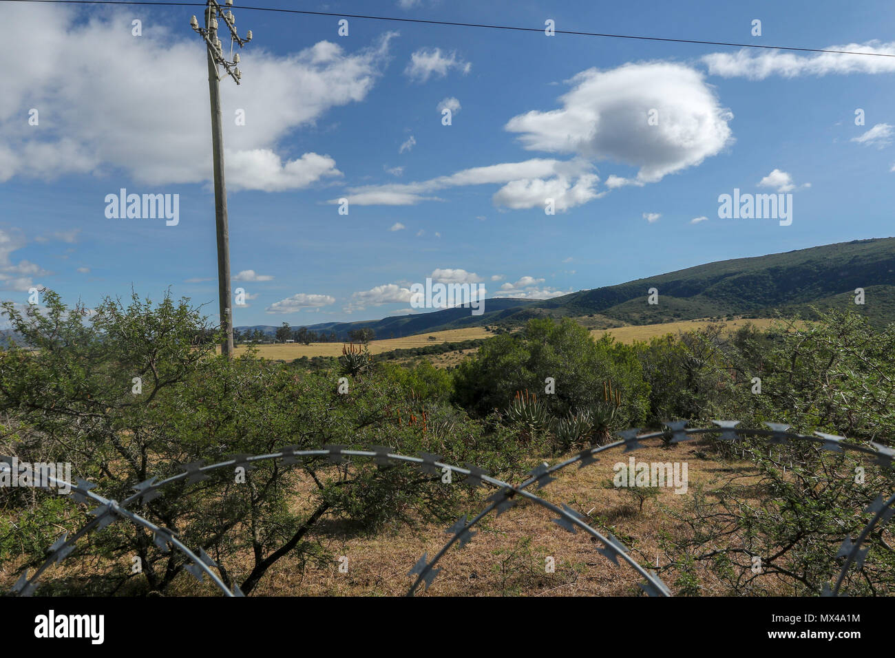 Scrubland ecosystems hi-res stock photography and images - Alamy