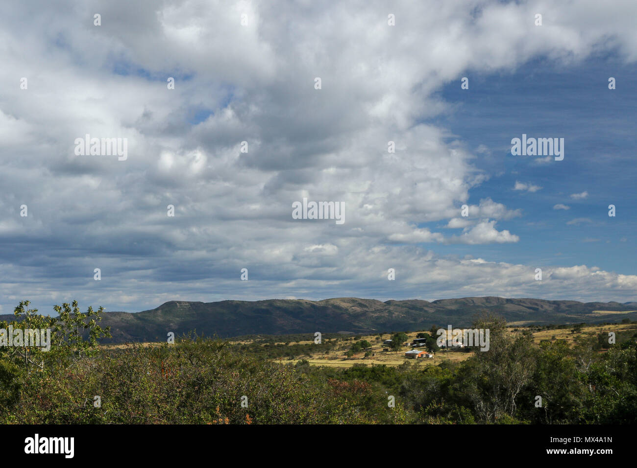 Eastern cape landscape with farmland and high cloud outside port ...